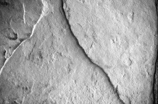 Vertical Limestone | Forms