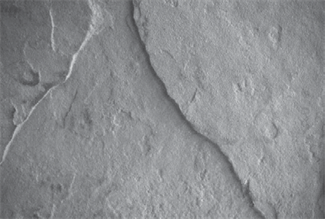 Hill Country Flagstone | Forms